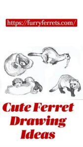 Ferret Drawing: A Complete Guide to Capturing Your playful